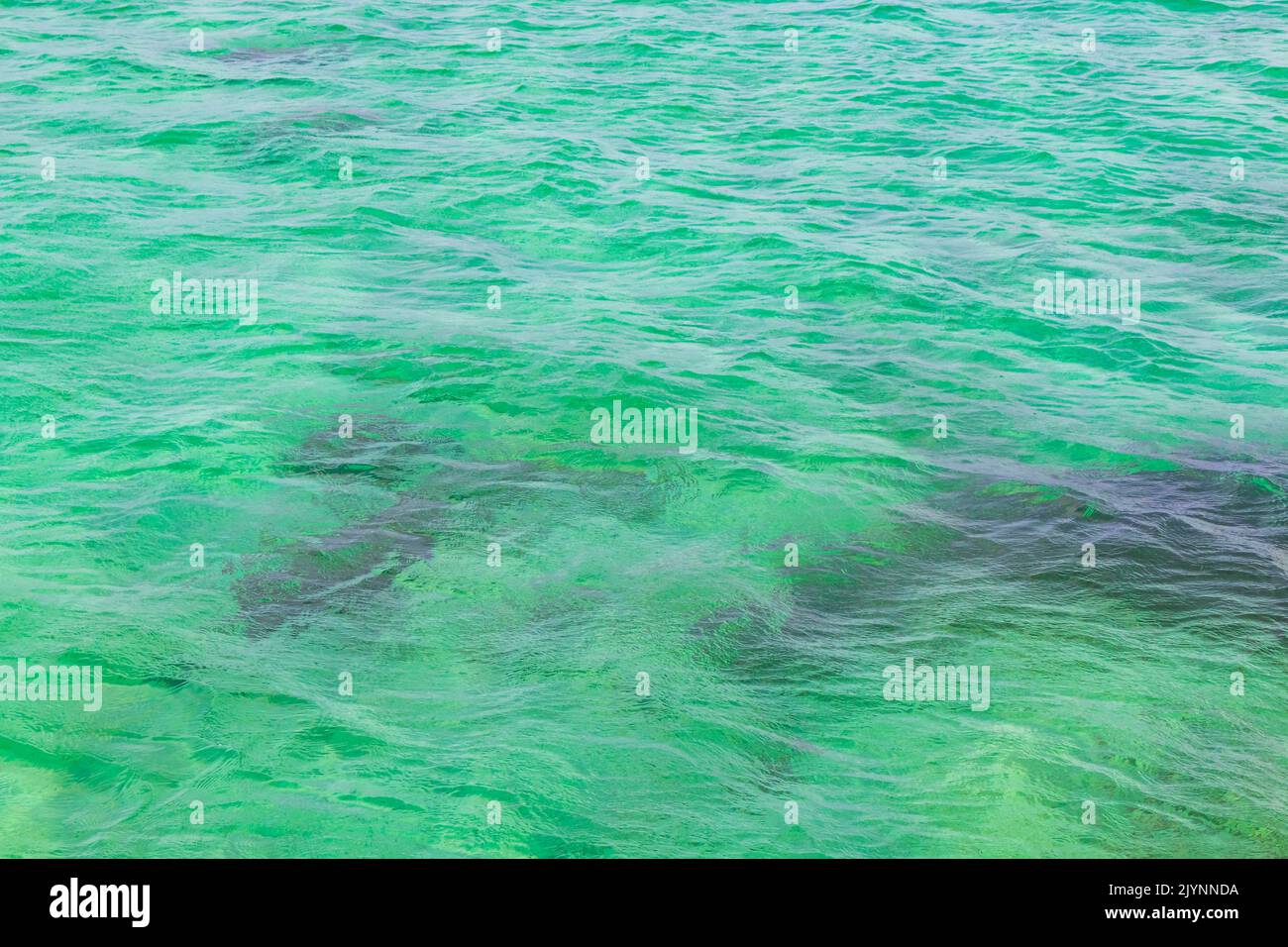 Beautiful blue and turquoise water waves ocean and sea texture pattern ...