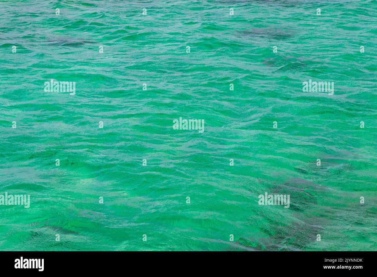 Beautiful blue and turquoise water waves ocean and sea texture pattern ...