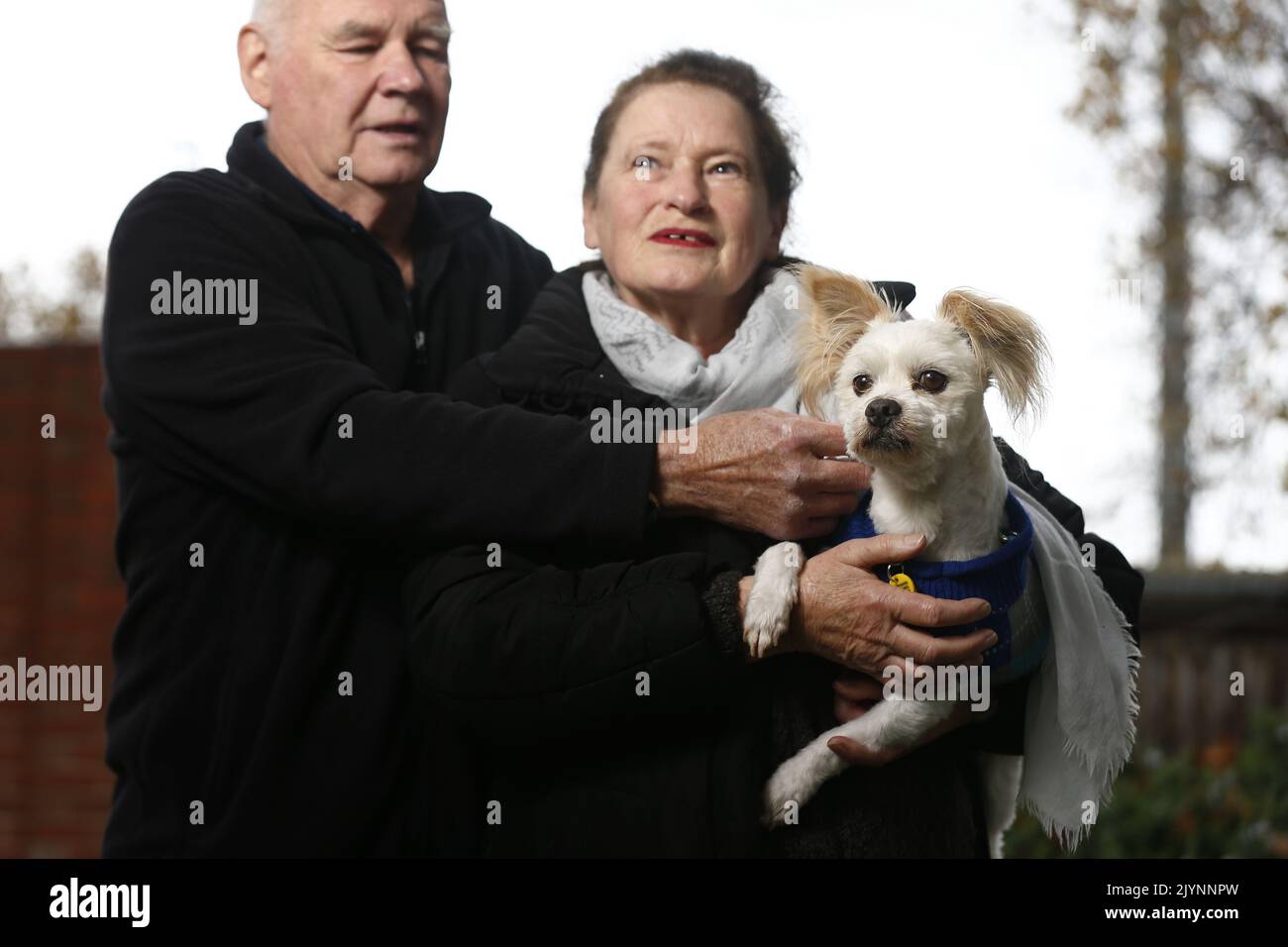 Maltese cross 'Buddy' and his owners Danuta and Jim Reilly pose for a ...