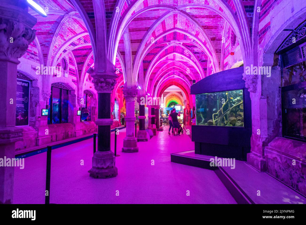 The grand brighton inside hi-res stock photography and images - Alamy
