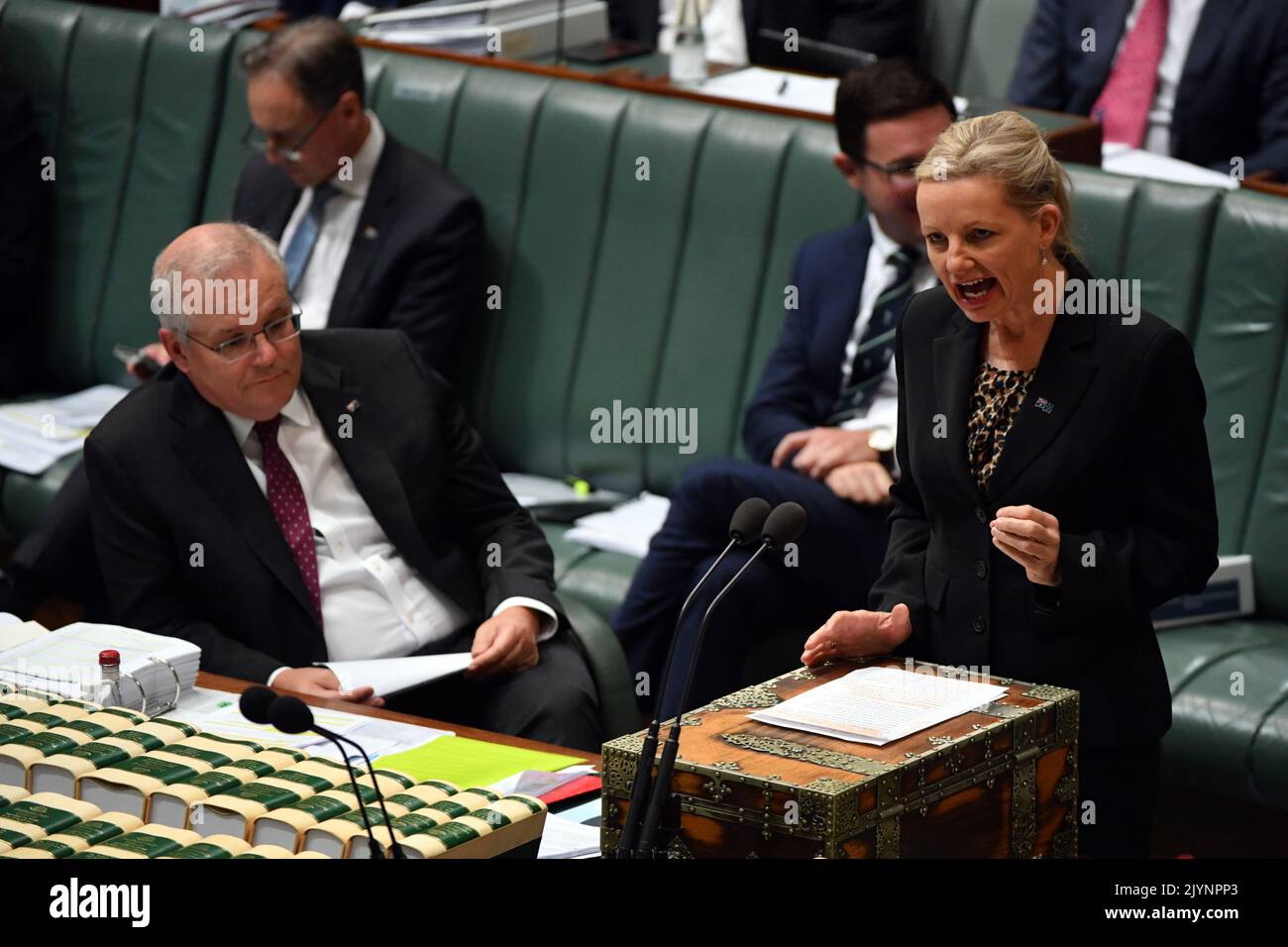 Minister for the Environment Sussan Ley during Question Time in the ...