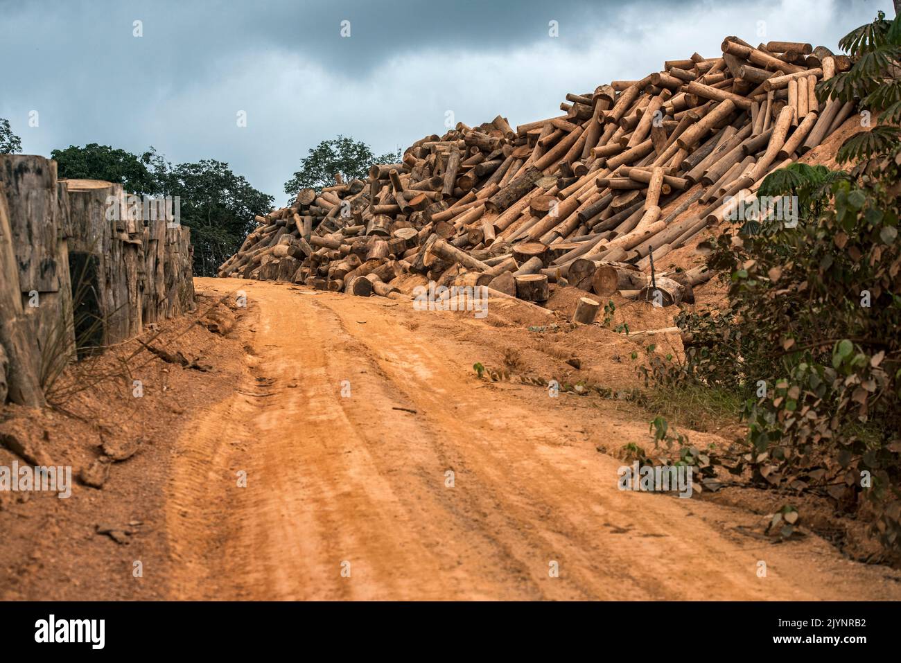 Deforestation tropical hi-res stock photography and images - Alamy
