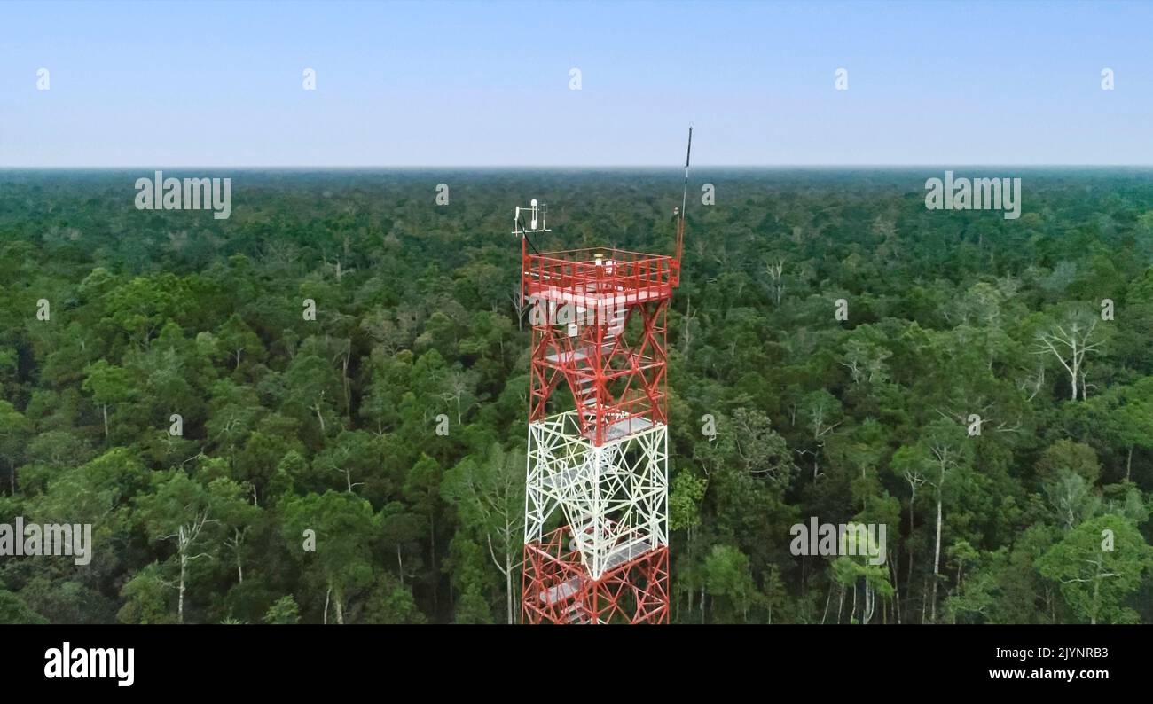 Aerial carbon mesuring tower and peat swamp forest, Kampar Peninsula ...