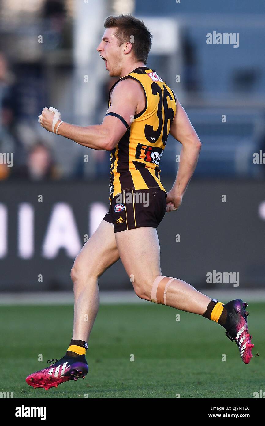 Dylan Moore of Hawthorn (centre) reacts after kick a goal during the ...