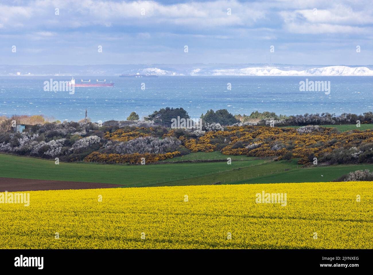English coasts seen from the Wissant hinterland, spring, Opal Coast ...