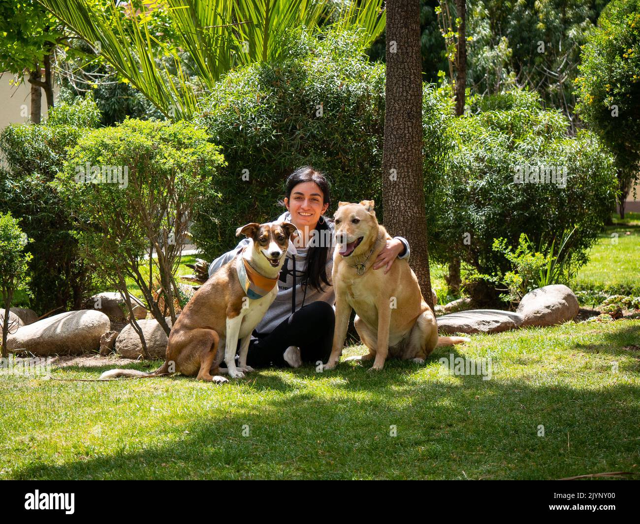 Peruvian Woman Sitting on the Grass, Hugging Two Mongrel Dogs in a ...