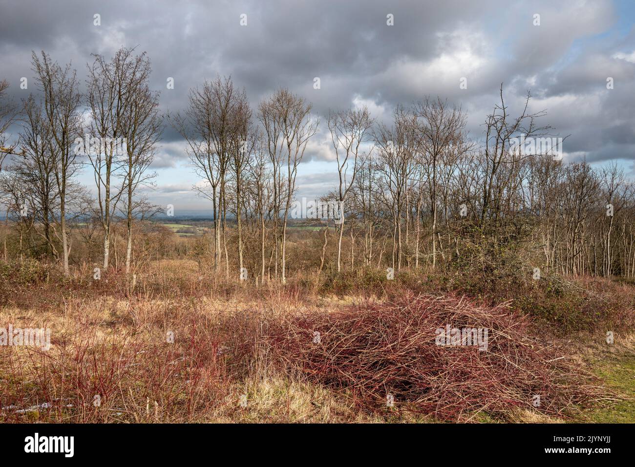 Steyning 2019 hi-res stock photography and images - Alamy
