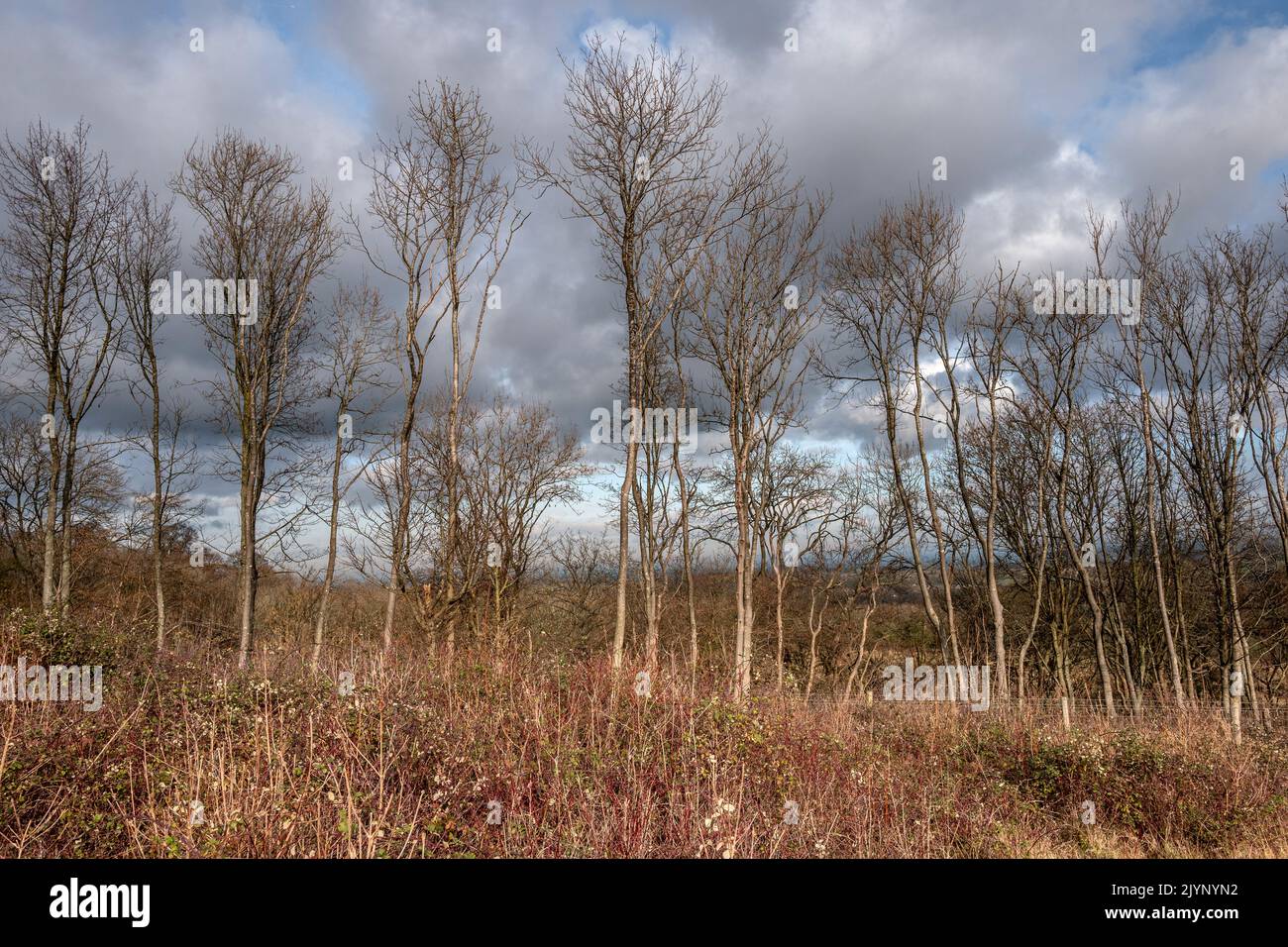 Steyning 2019 hi-res stock photography and images - Alamy