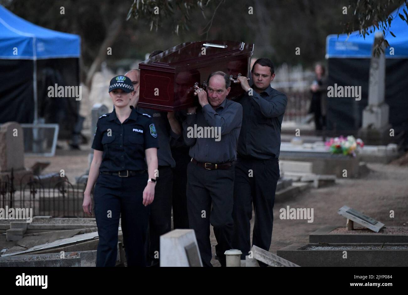 Adelaide Cemetery Authority pall bearers carry the body of the exhumed ...