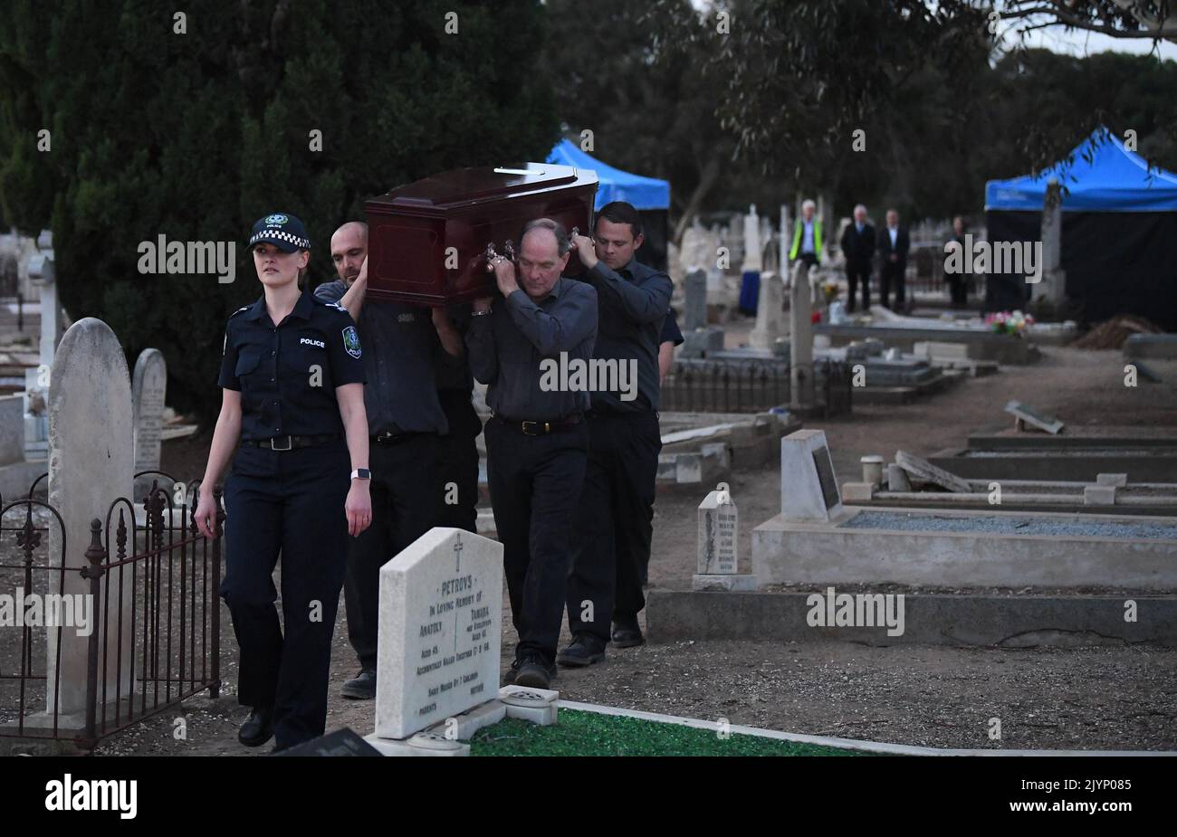 Adelaide Cemetery Authority pall bearers carry the body of the exhumed ...
