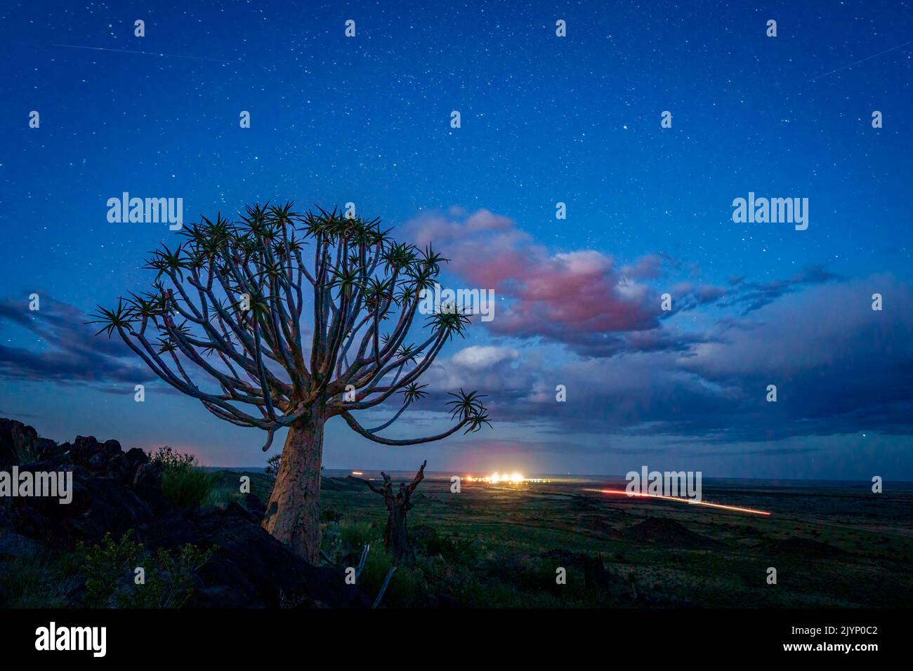 Artificial light night hi-res stock photography and images - Alamy