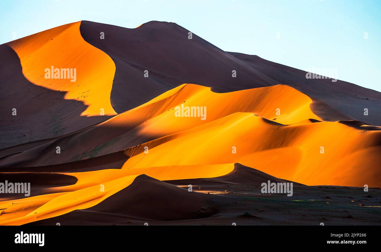 Dunes of the Sossusvlei. Beautiful shapes. Stunning light and color ...