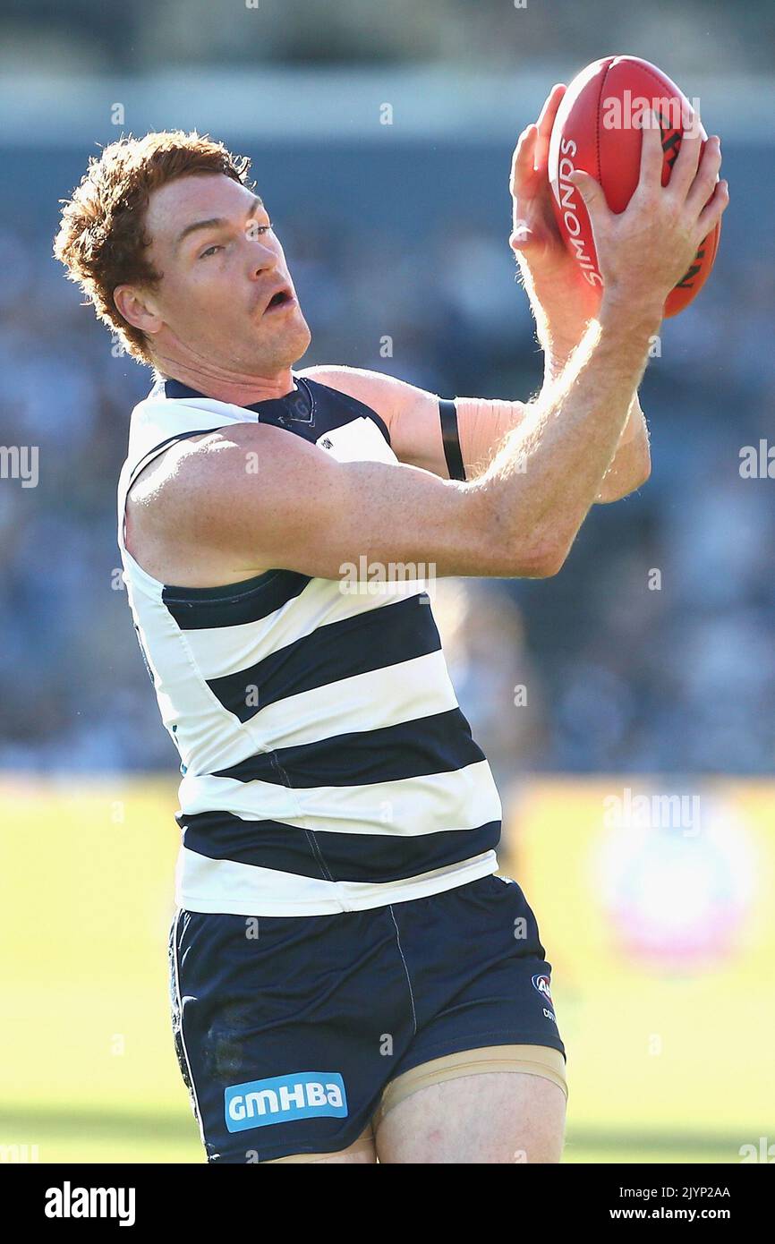 Gary Rohan of the Cats takes a mark during the Round 10 AFL match ...