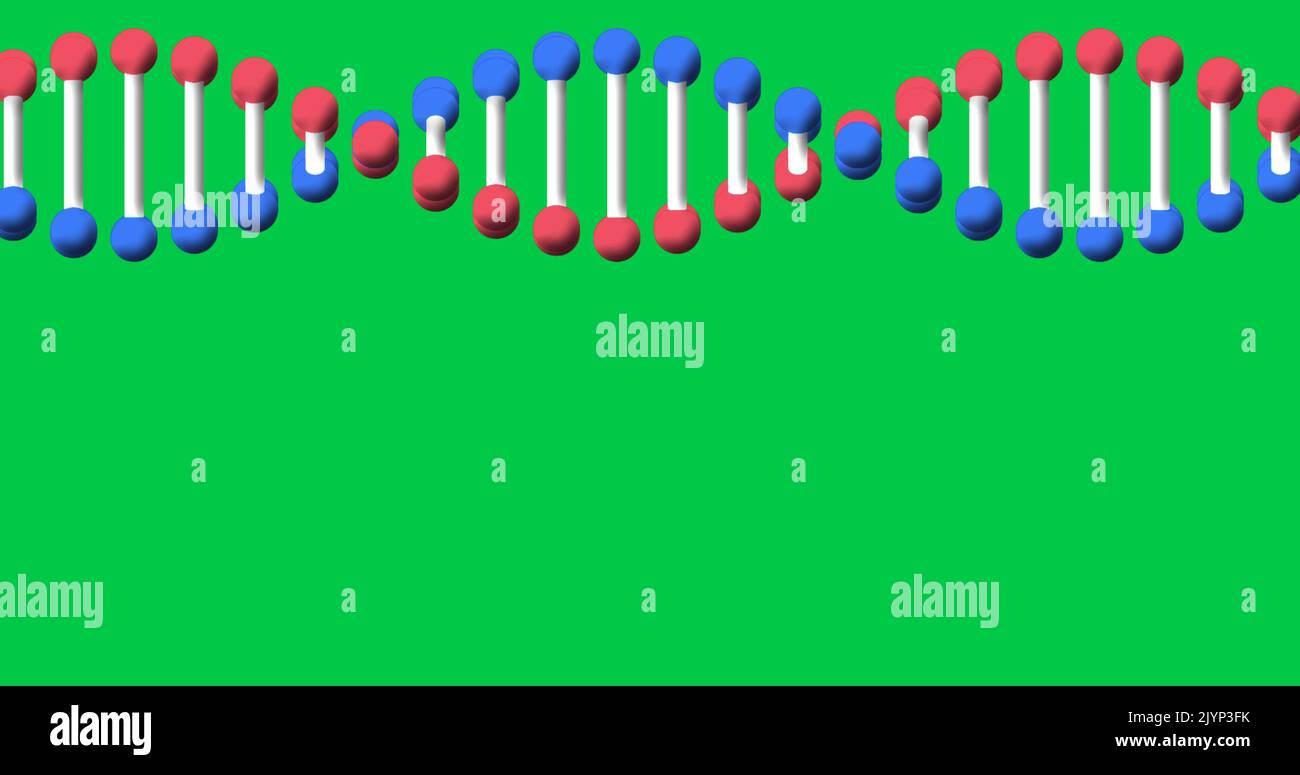 Image of dna strand spinning with copy space over green screen Stock ...