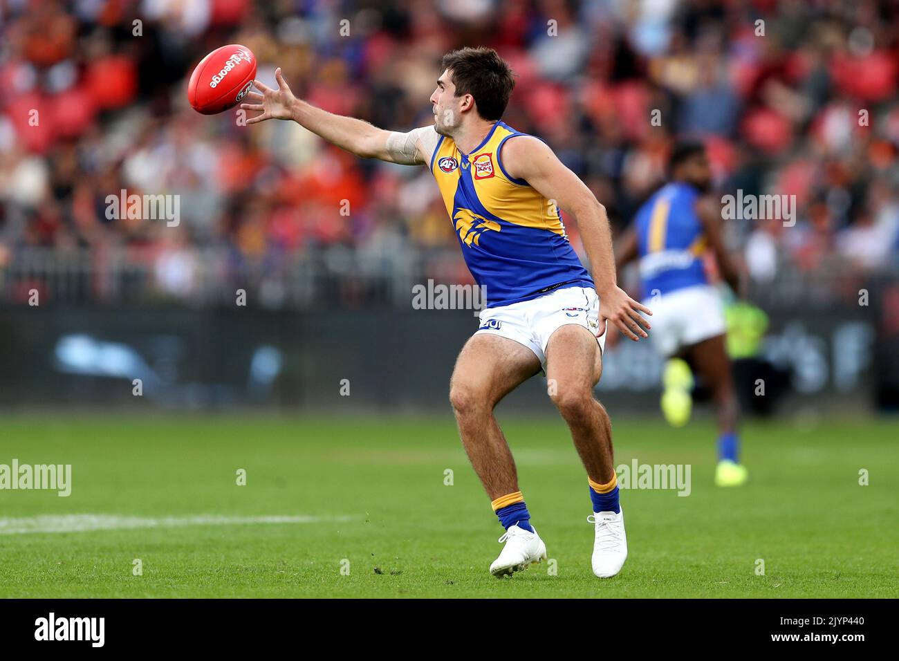 Andrew Gaff of the Eagles controls the ball during to the Round 10 AFL ...