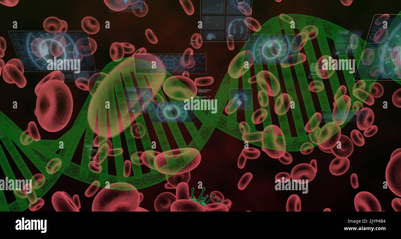 Image of red blood cells, dna strand spinning, scopes and data ...