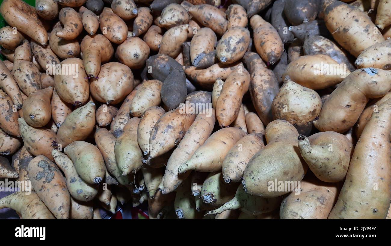 Cilembu hi-res stock photography and images - Alamy
