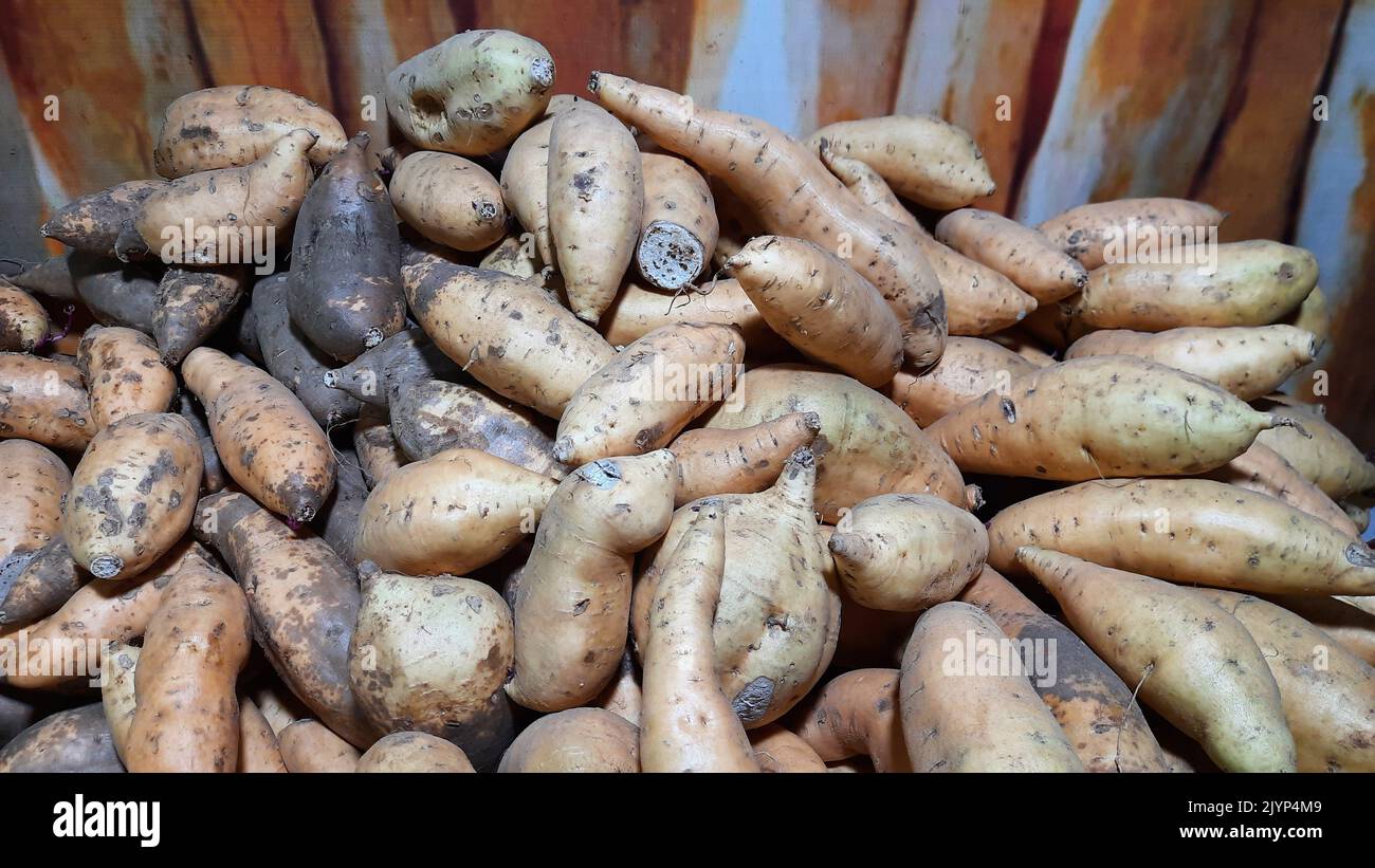 Cilembu indonesia hi-res stock photography and images - Alamy