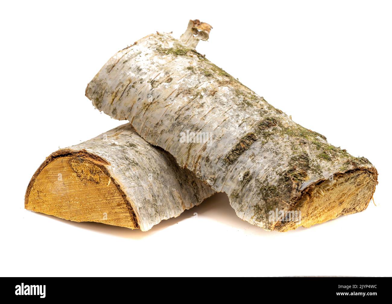 Birch logs isolated on white background Stock Photo - Alamy