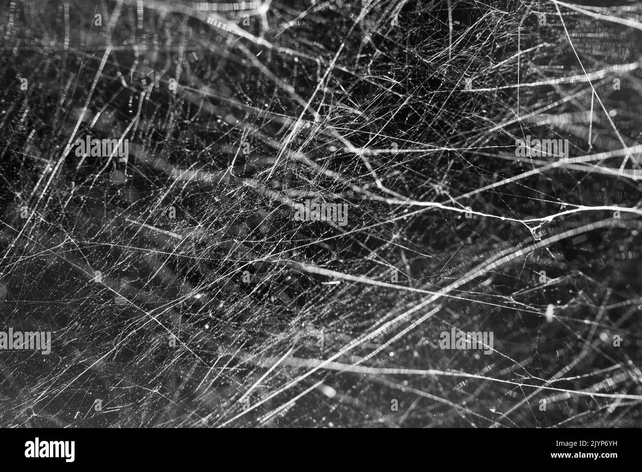 spider web, abstraction, chaotic lines, incredible background Stock ...