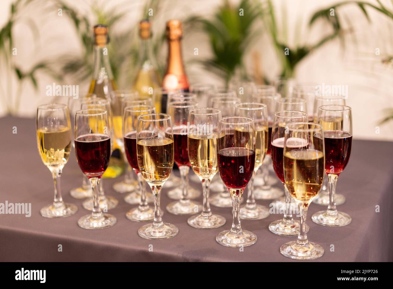 Pouring wine many glasses hi-res stock photography and images - Alamy