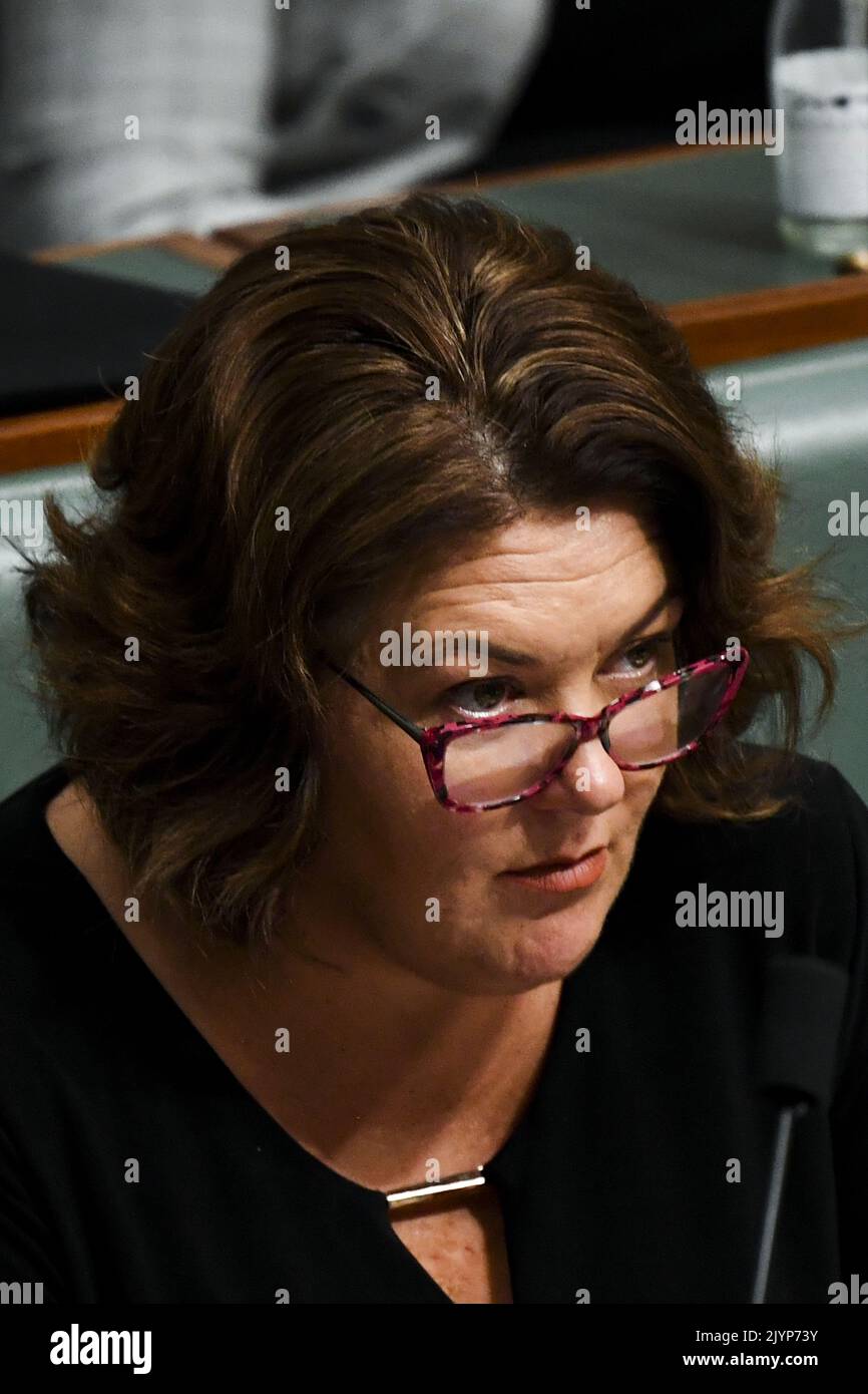 Labor MP Meryl Swanson reacts during House of Representatives Question ...