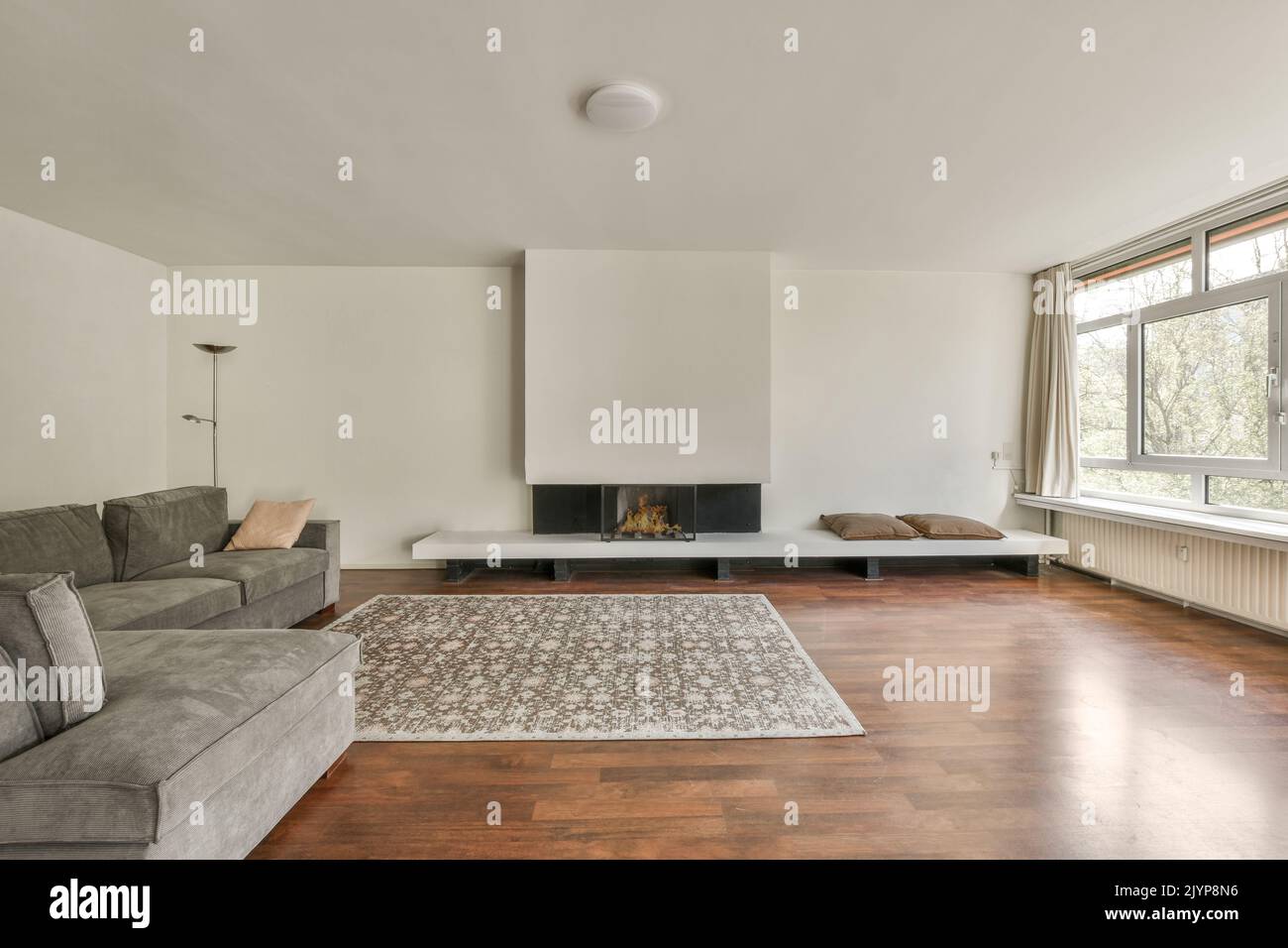 Comfortable sofa with cushions placed against light wall with electric ...