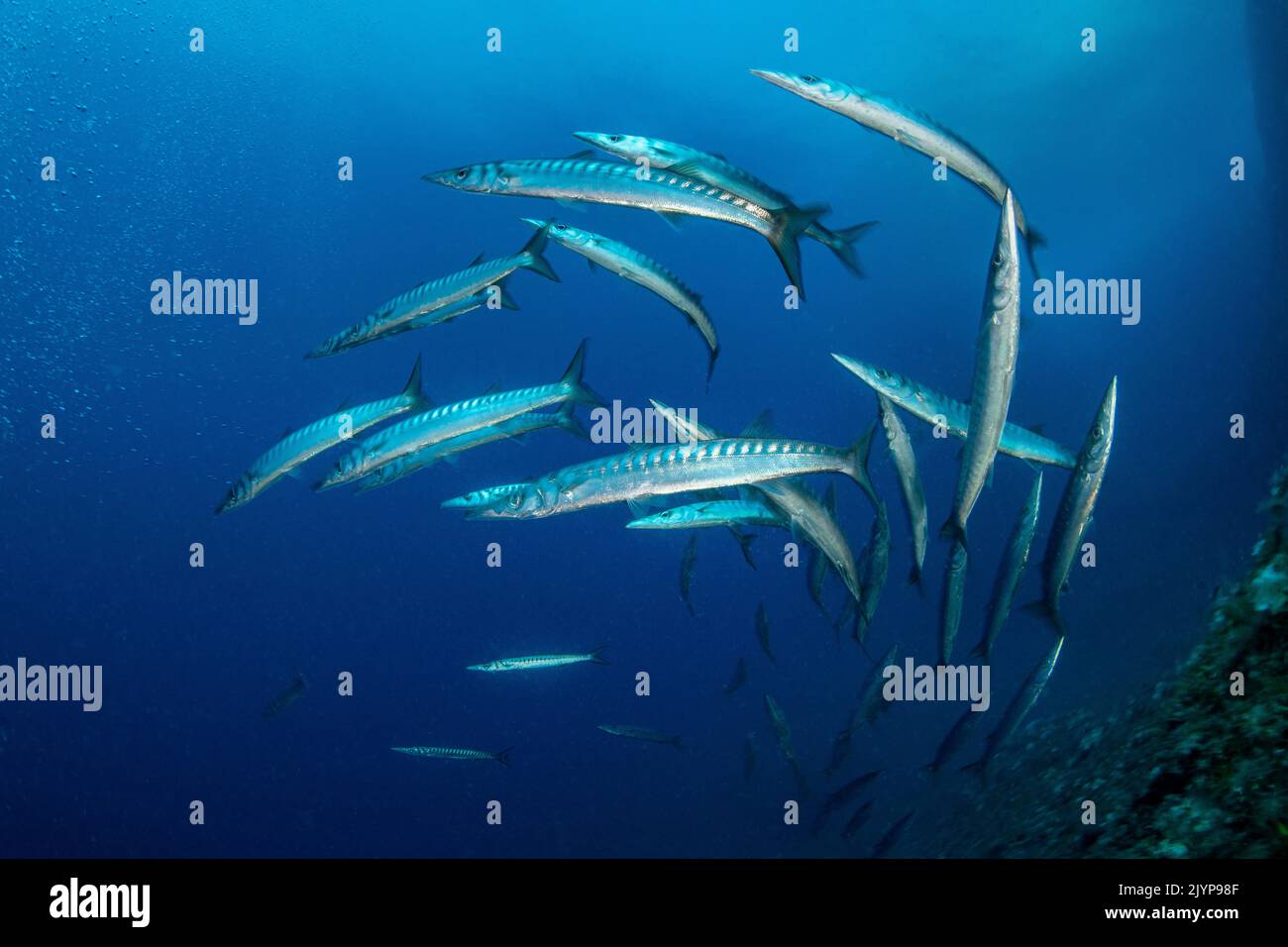 Shoal rock hi-res stock photography and images - Alamy