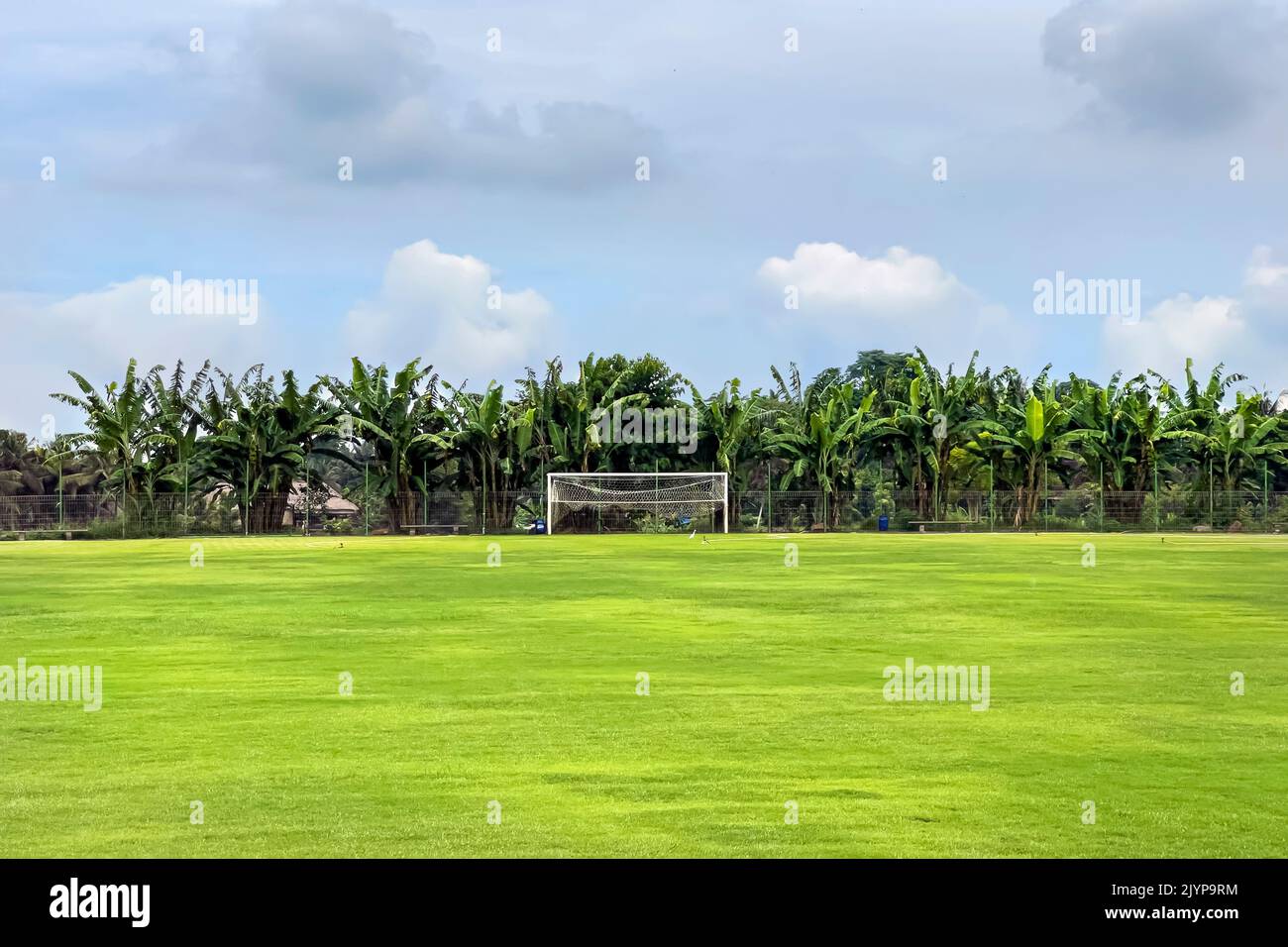 View of a huge football field with a green fresh lawn surrounded by ...