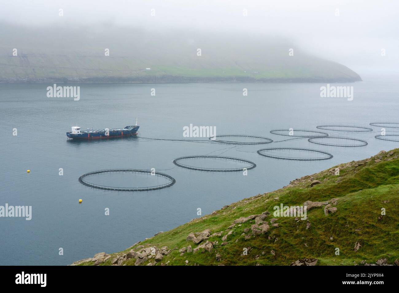 Salmon farm, Vidoy Island, Faroe Islands, Denmark Stock Photo - Alamy