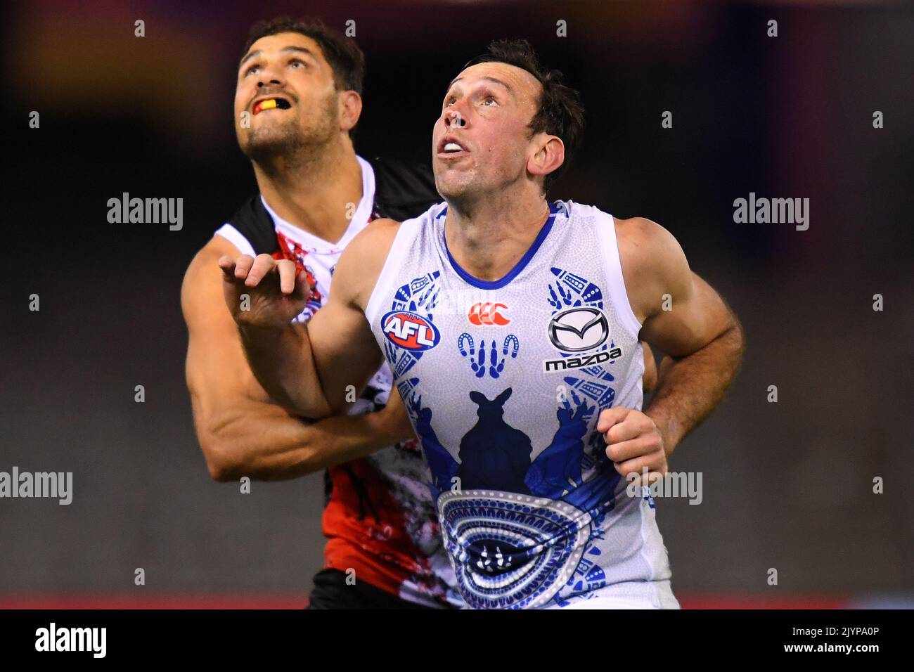 Todd Goldstein of North Melbourne (right) in action during the Round 11 ...