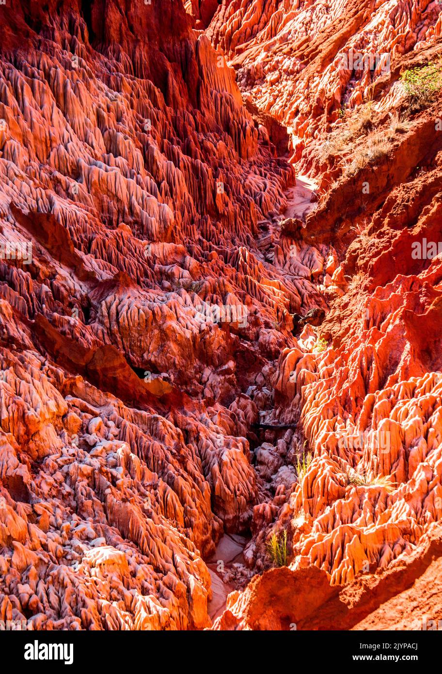 Red Tsingy. Typical landscape. Madagascar Stock Photo - Alamy