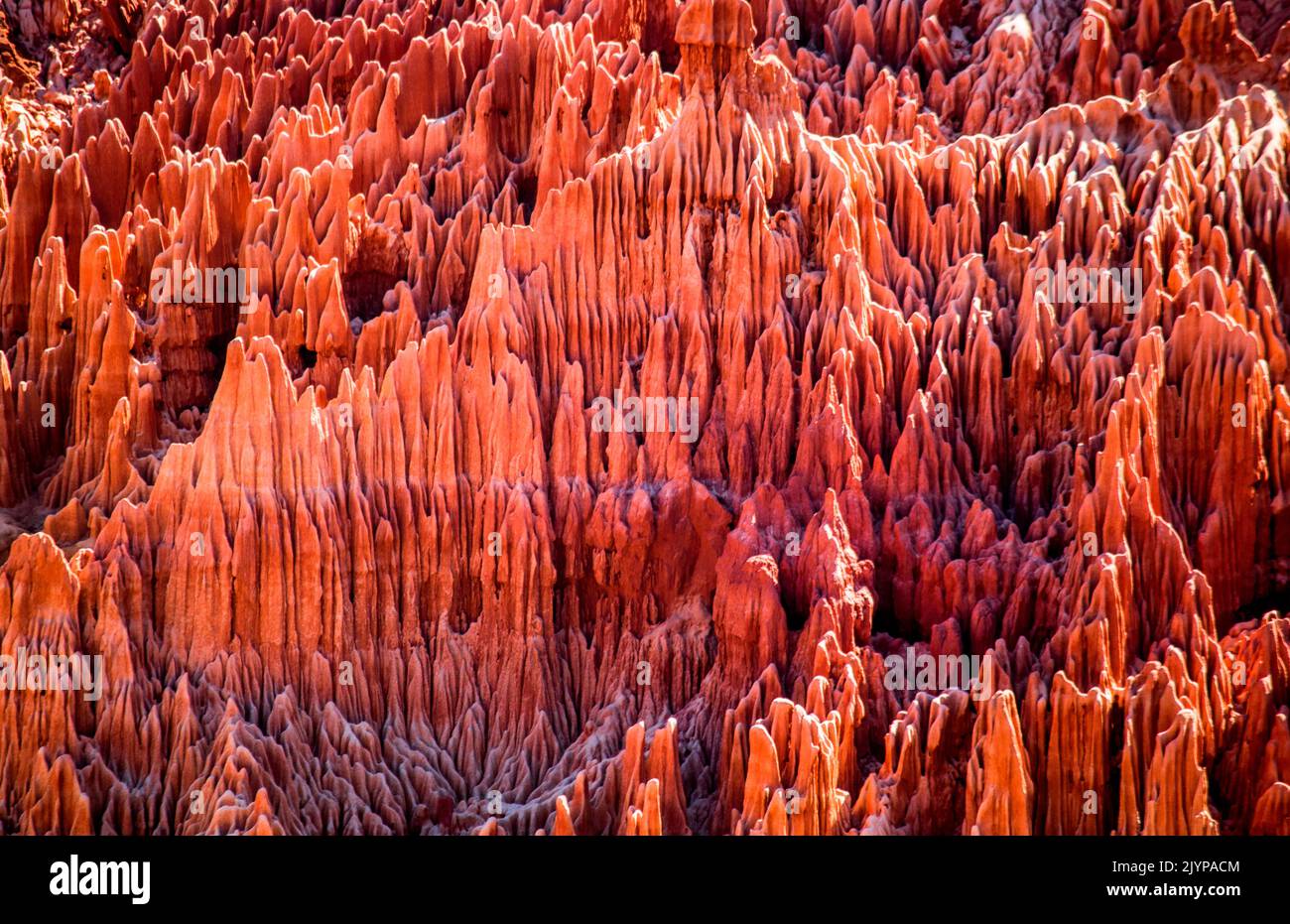 Red Tsingy. Typical landscape. Madagascar Stock Photo - Alamy