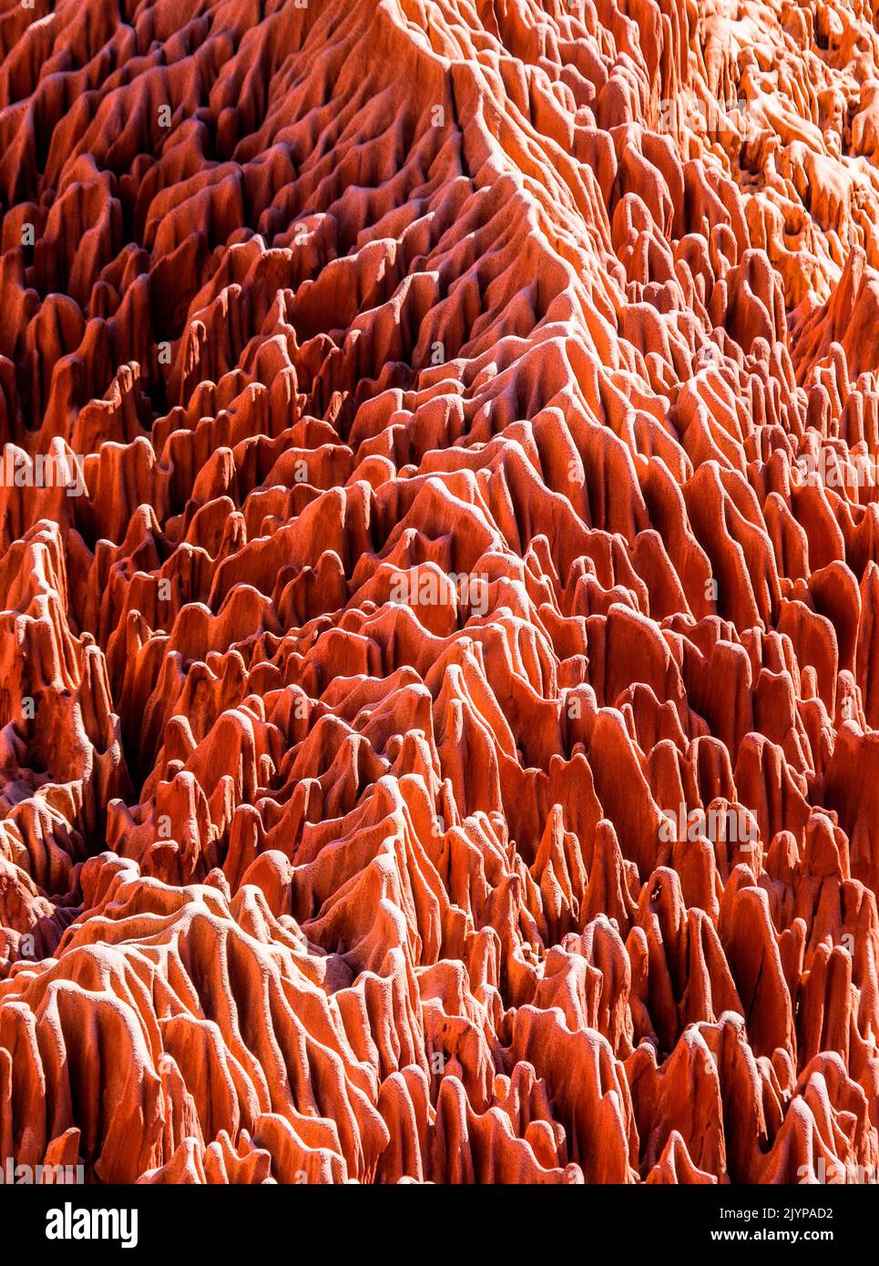 Red Tsingy. Typical landscape. Madagascar Stock Photo - Alamy