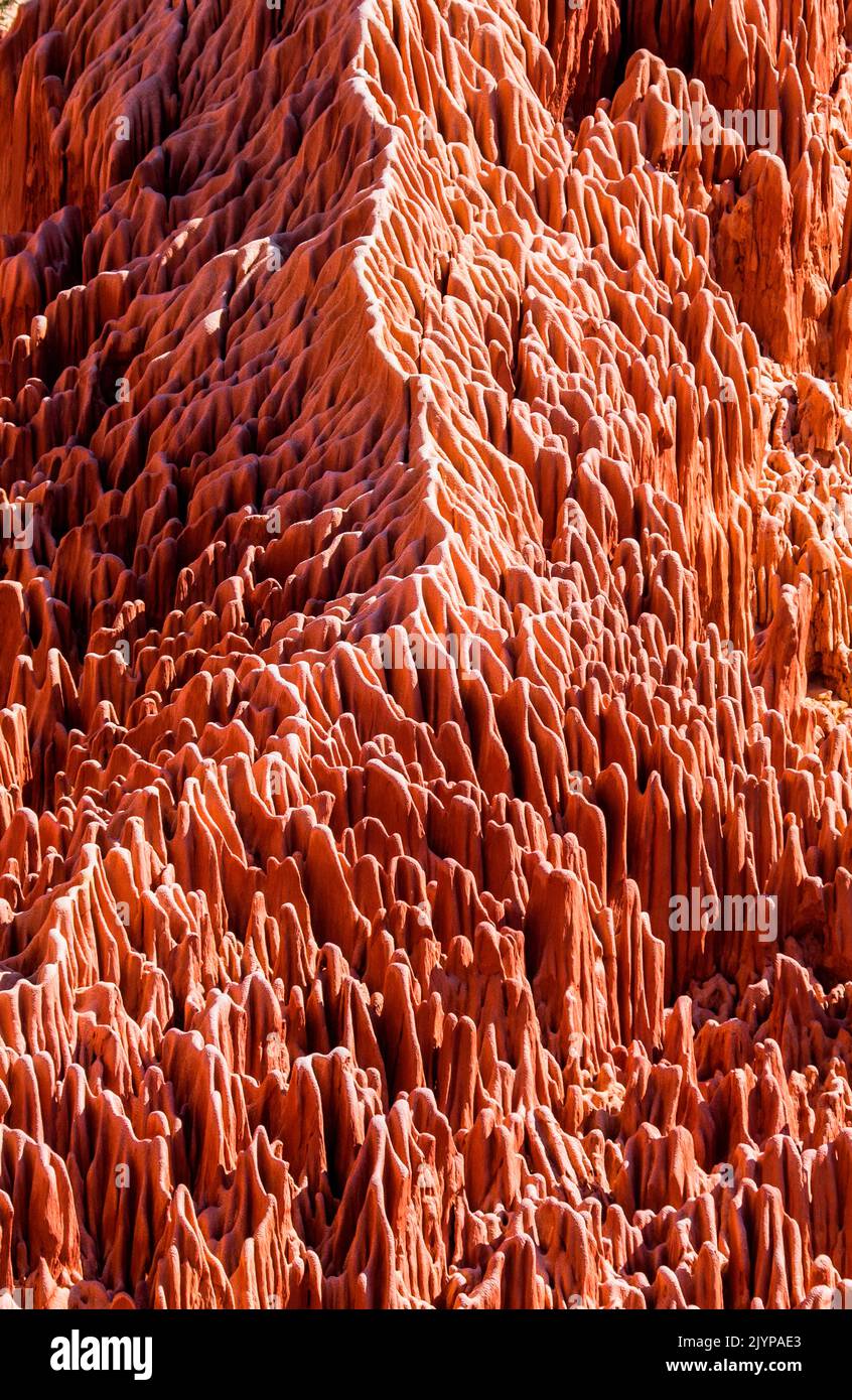 Red Tsingy. Typical landscape. Madagascar Stock Photo - Alamy