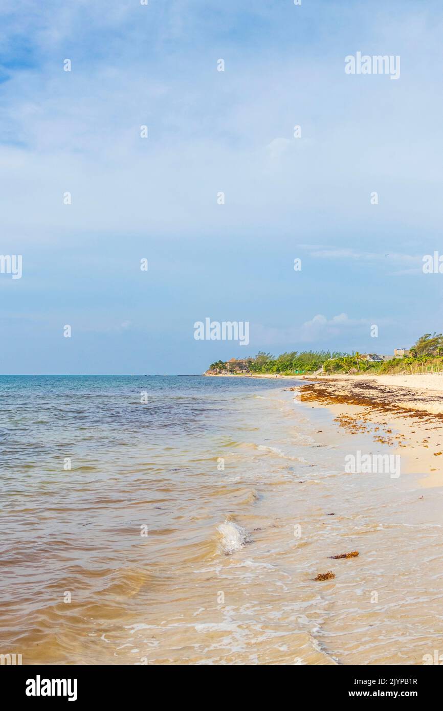 Tropical mexican beach landscape panorama with clear turquoise blue ...