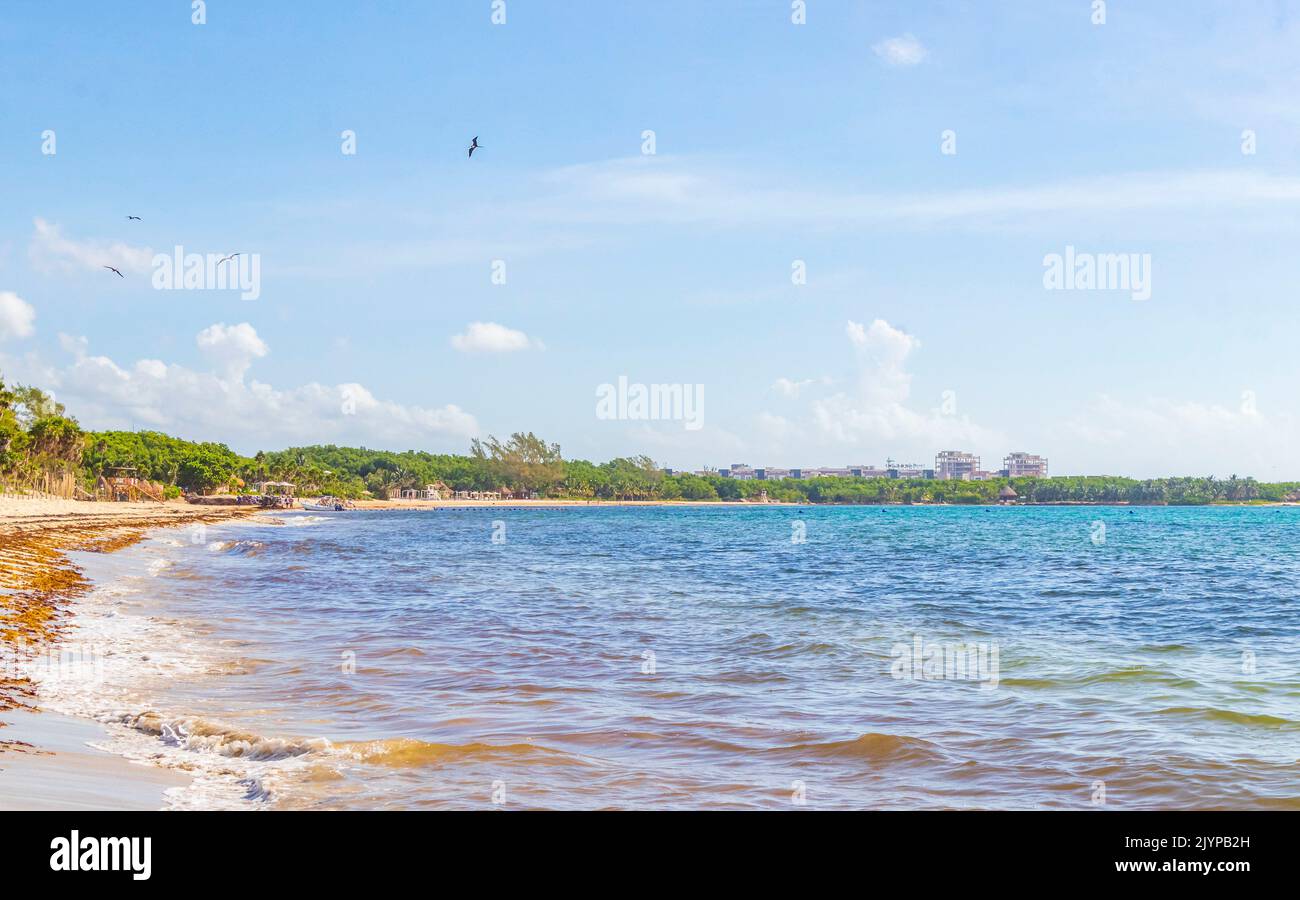 Tropical mexican beach landscape panorama with clear turquoise blue ...