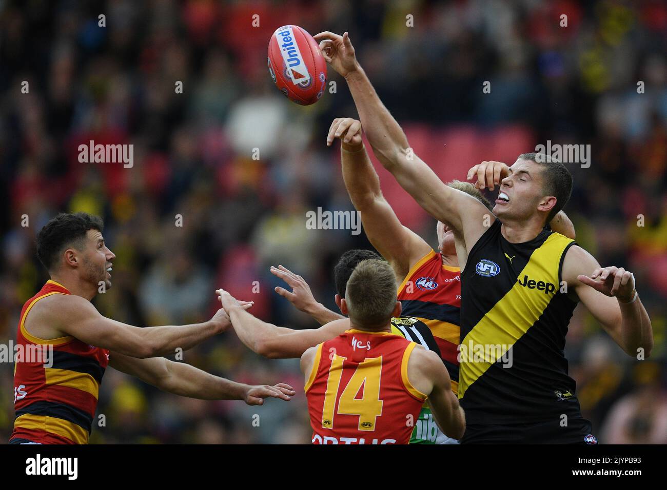 Callum Coleman-Jone of the Tigers during the Round 11 AFL match between ...