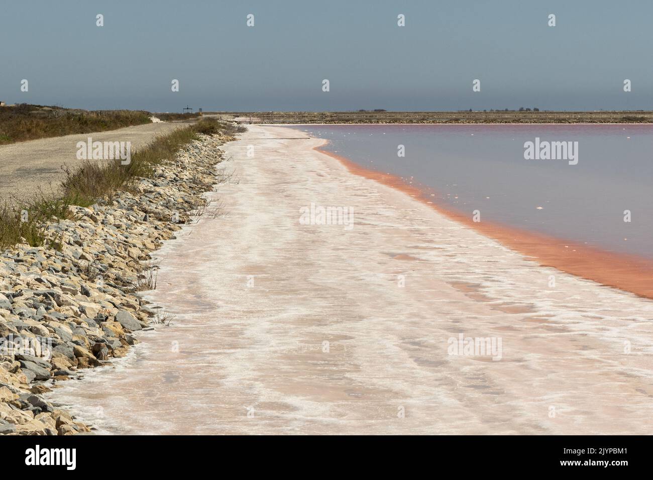 Rose coloured salt lagoons near Aigues Mortes in the Camargue region of ...
