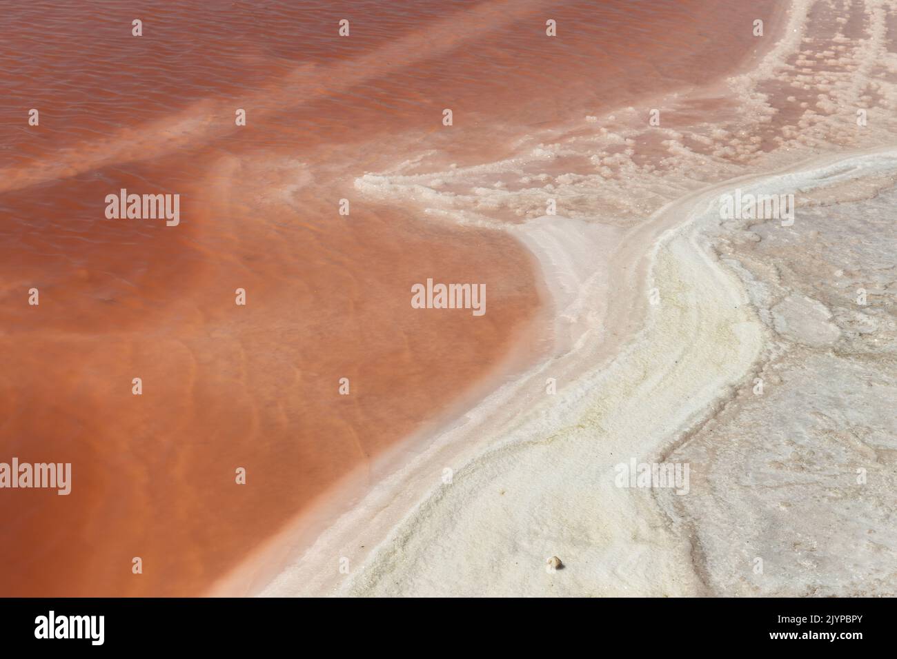 Rose coloured salt lagoons near Aigues Mortes in the Camargue region of ...