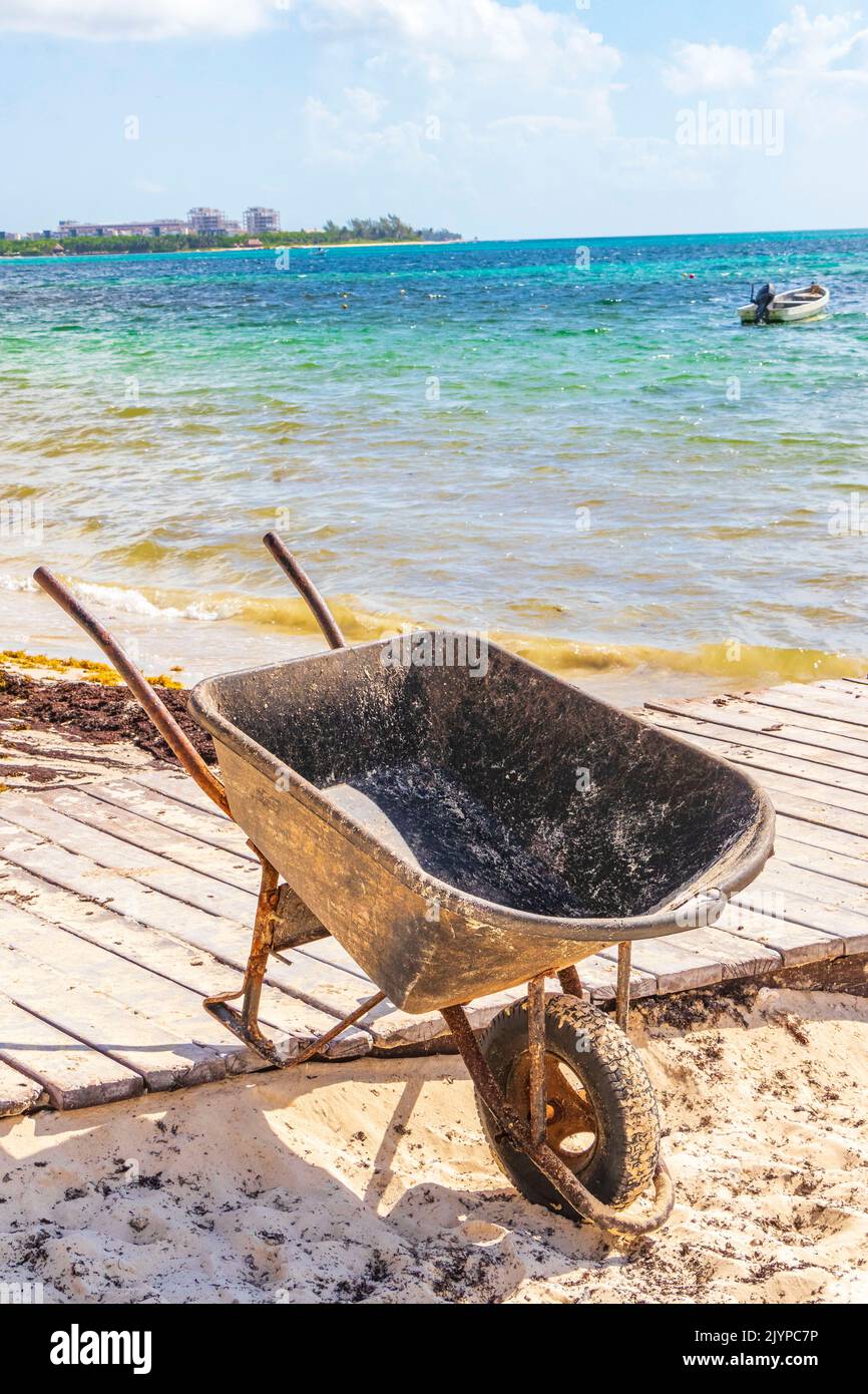 Cleaning the beach with wheelbarrow pitchfork Garden Rake Leaf Broom ...