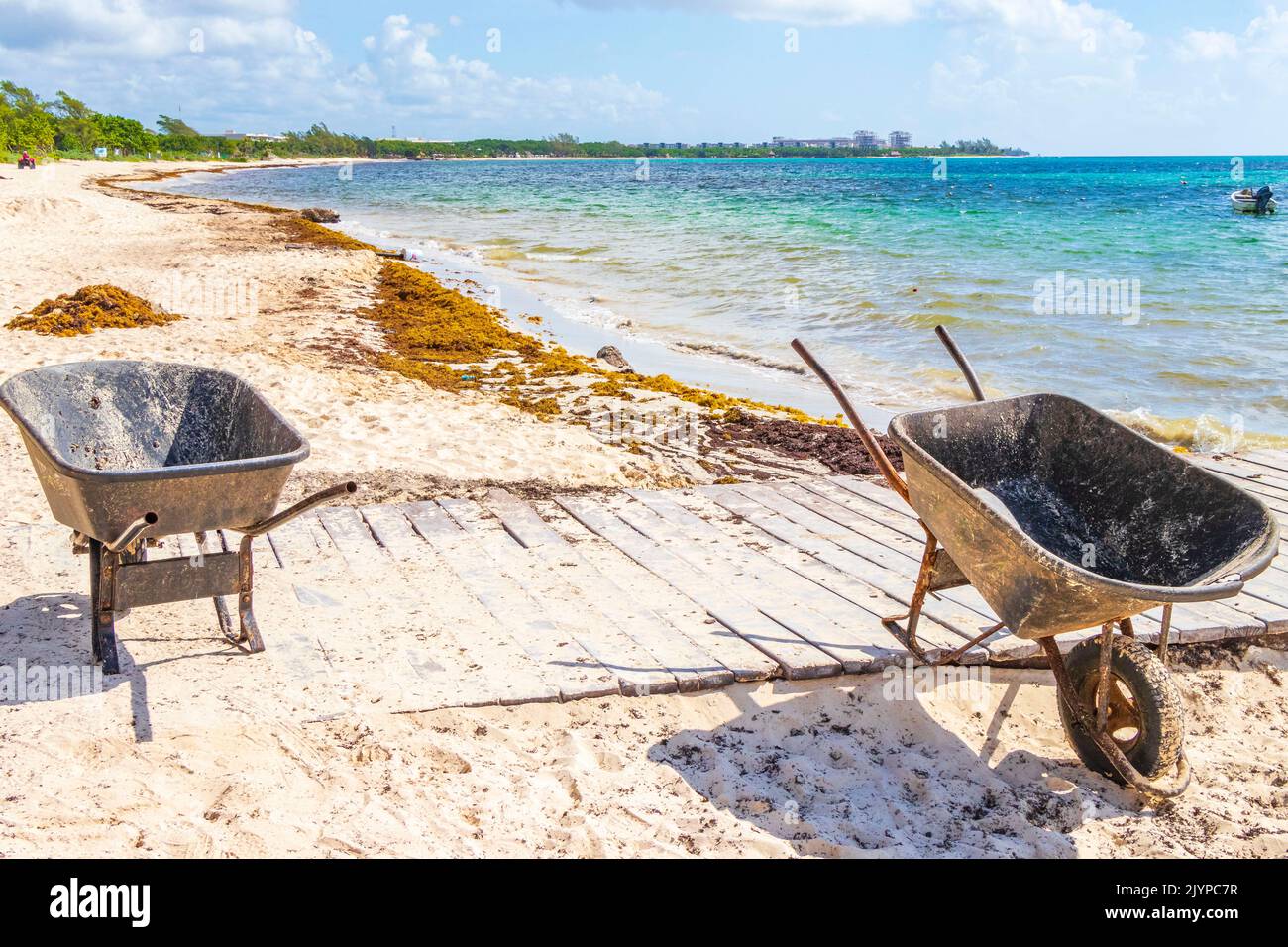 Cleaning the beach with wheelbarrow pitchfork Garden Rake Leaf Broom ...