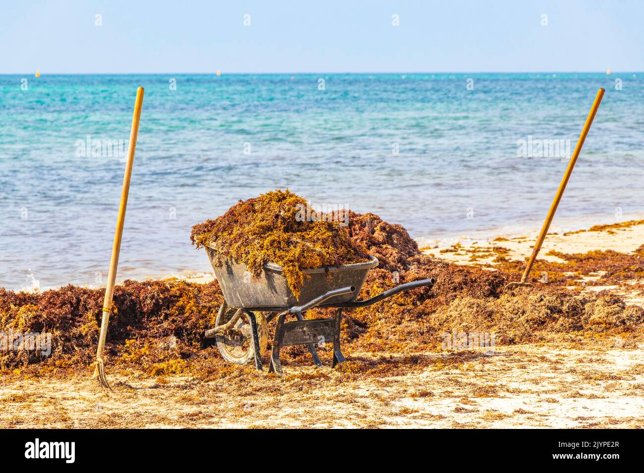 Cleaning the beach with wheelbarrow pitchfork Garden Rake Leaf Broom ...