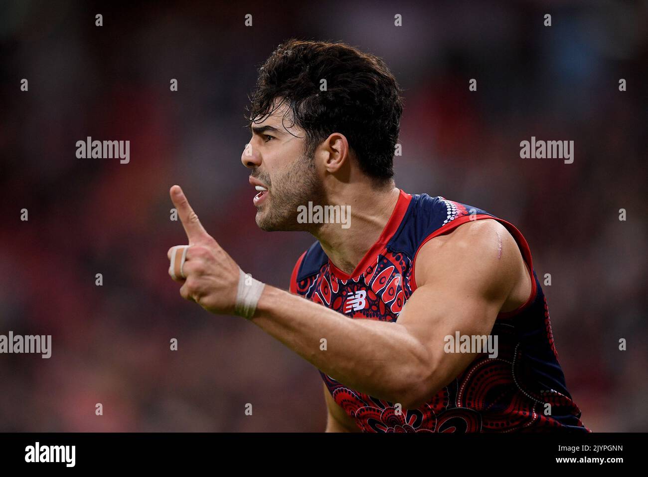 Christian Petracca of the Demons celebrates after kicking a goal during ...