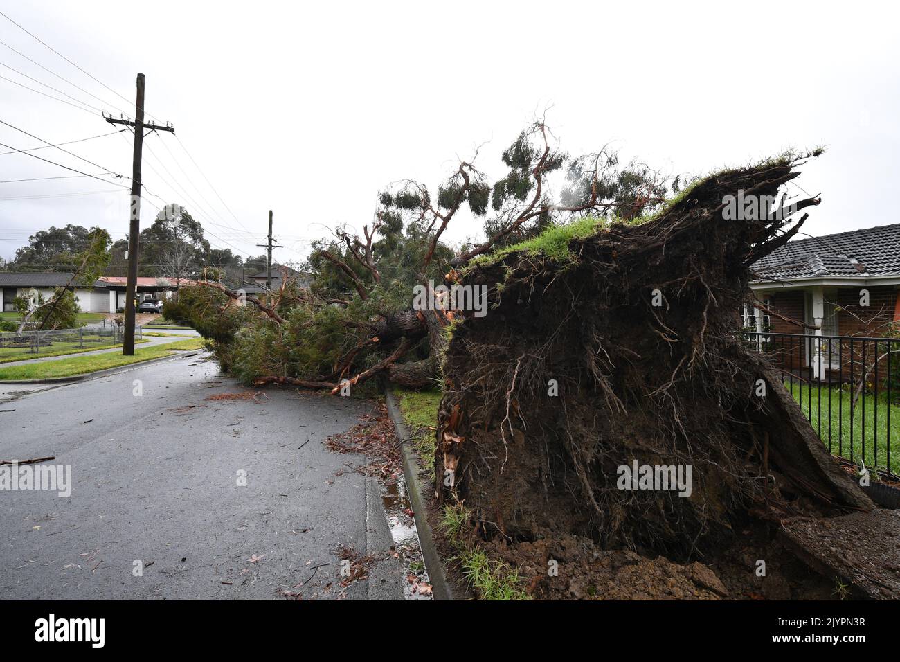 Storm damage is seen in Melbourne, Thursday, June 10, 2021. (AAP Image ...
