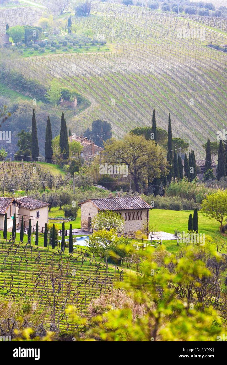 typical Tuscan landscape - a view of a villa on a hill, a cypress alley ...