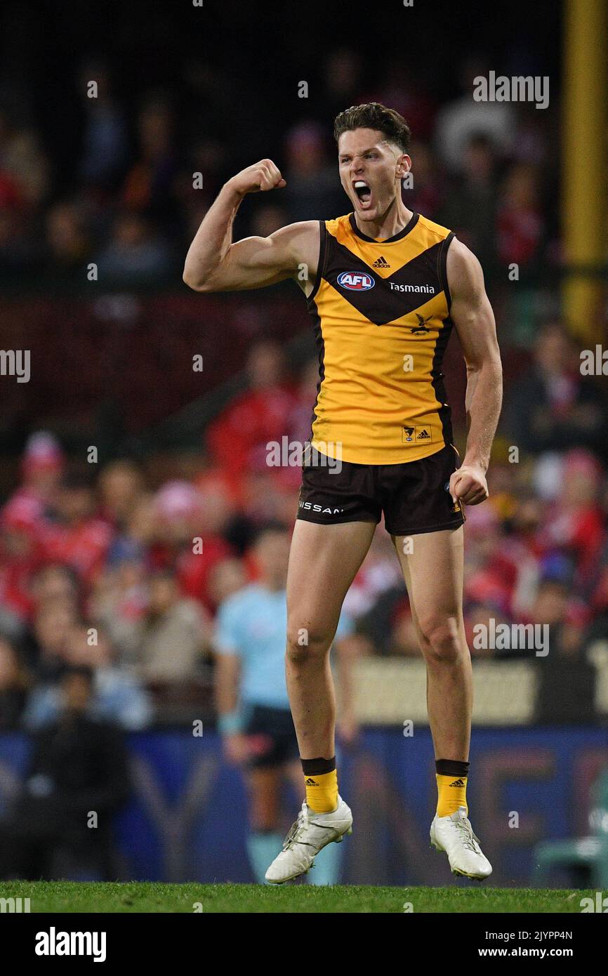 Jacob Koschitzke of the Hawks celebrates a goal during the Round 13 AFL ...