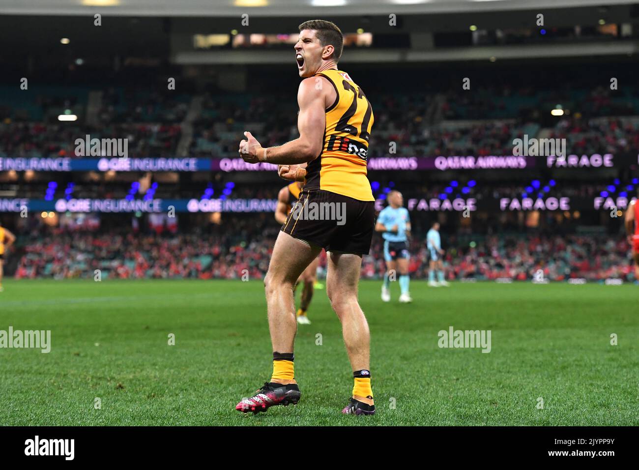 Luke Breust of the Hawks celebrates a goal during the Round 13 AFL ...