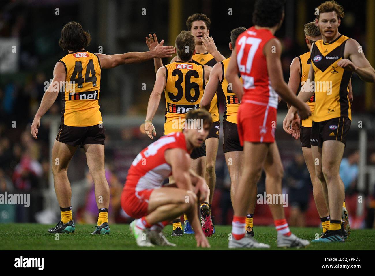 The Hawks celebrate Dylan Moore’s goal during the Round 13 AFL match ...