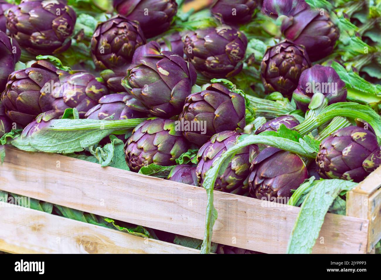 Fresh artichoke group close-up Stock Photo - Alamy